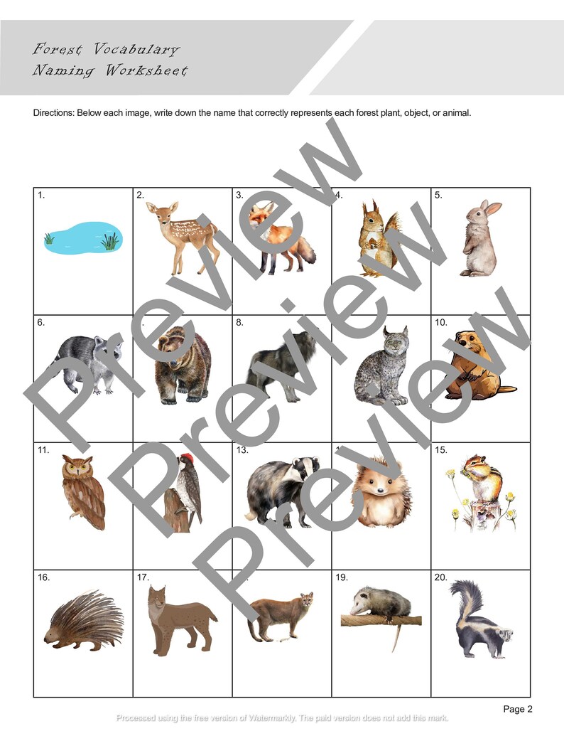 Forest Vocabulary Naming Worksheet for English Learners and English ...
