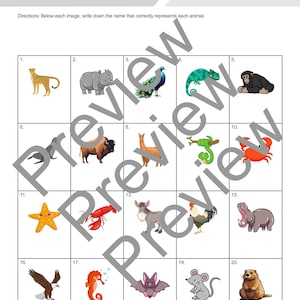 Animal Vocabulary Naming Worksheet for English Learners and English ...