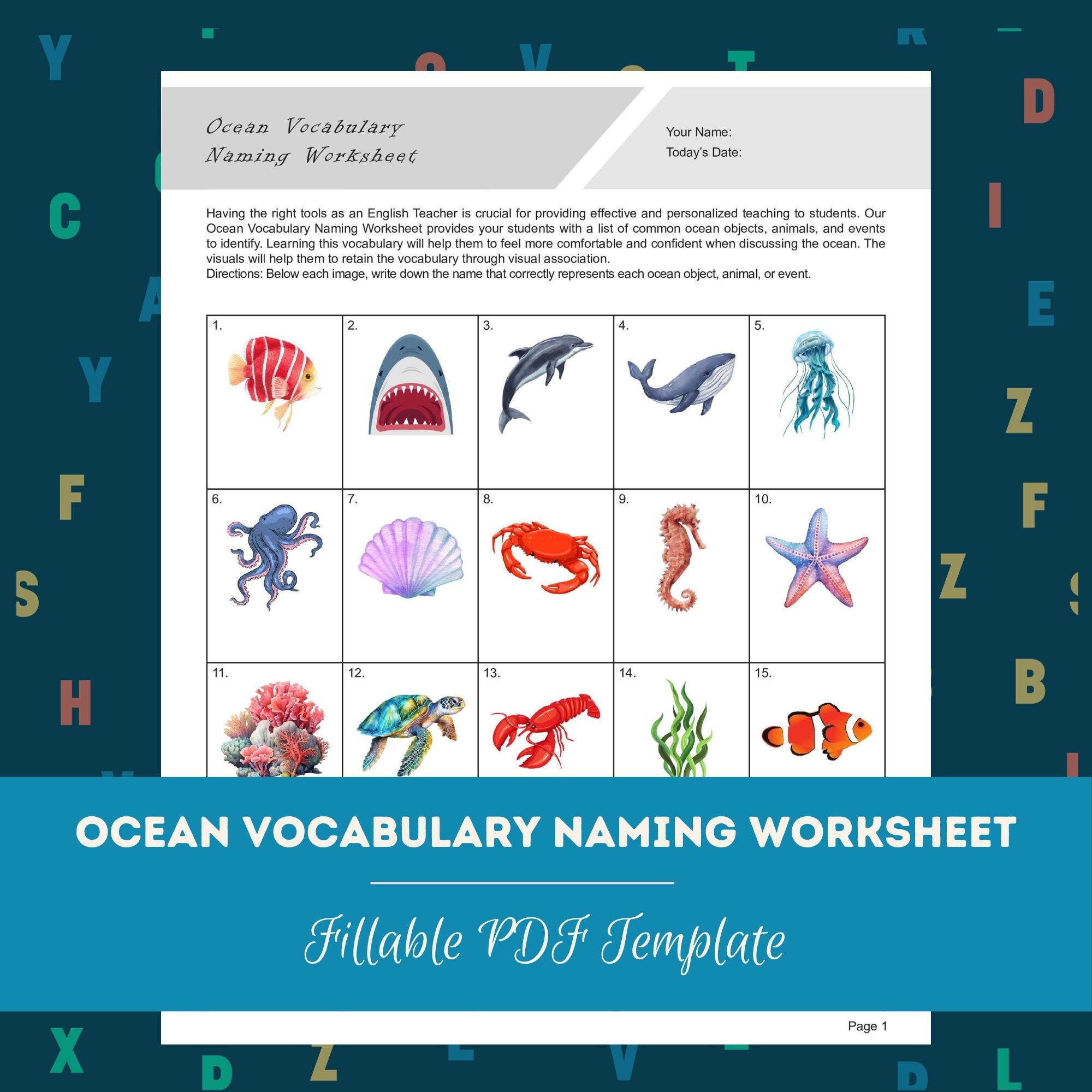 Ocean Vocabulary Naming Worksheet for English Learners and English ...