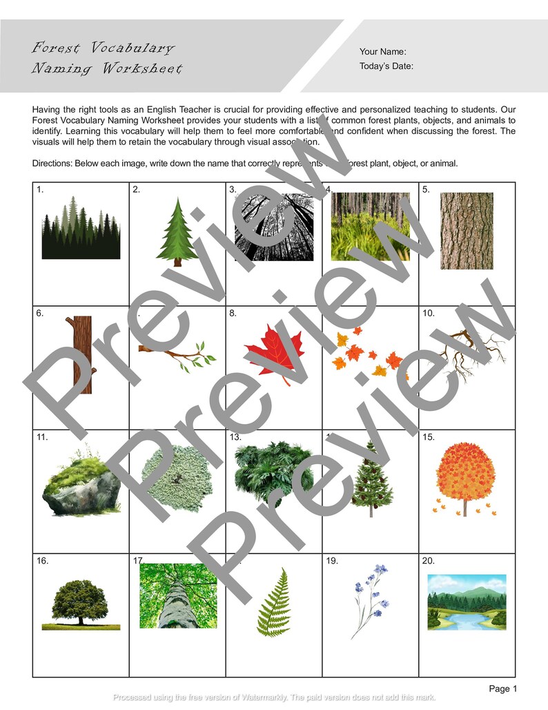 Forest Vocabulary Naming Worksheet for English Learners and English ...