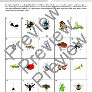 Insect Vocabulary Naming Worksheet for English Learners and English ...
