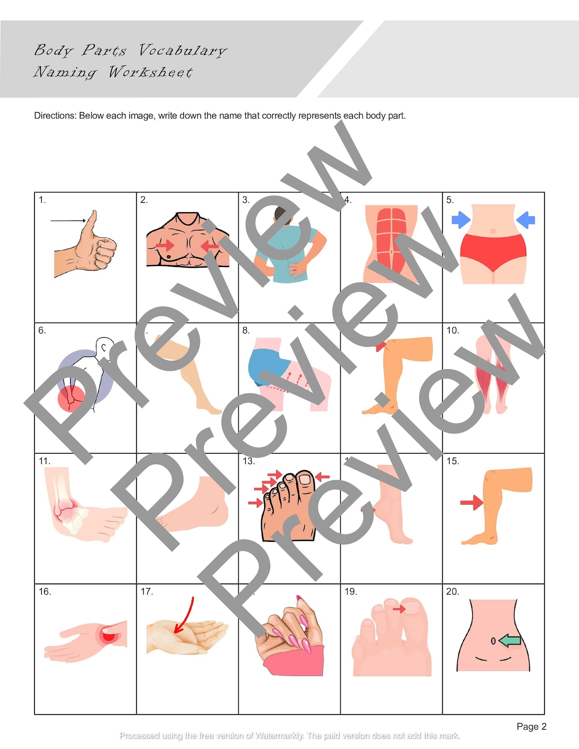 Body Parts Vocabulary Naming Worksheet for English Learners and English ...