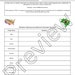 Proper Nouns Worksheets Bundle for English Learners and English ...