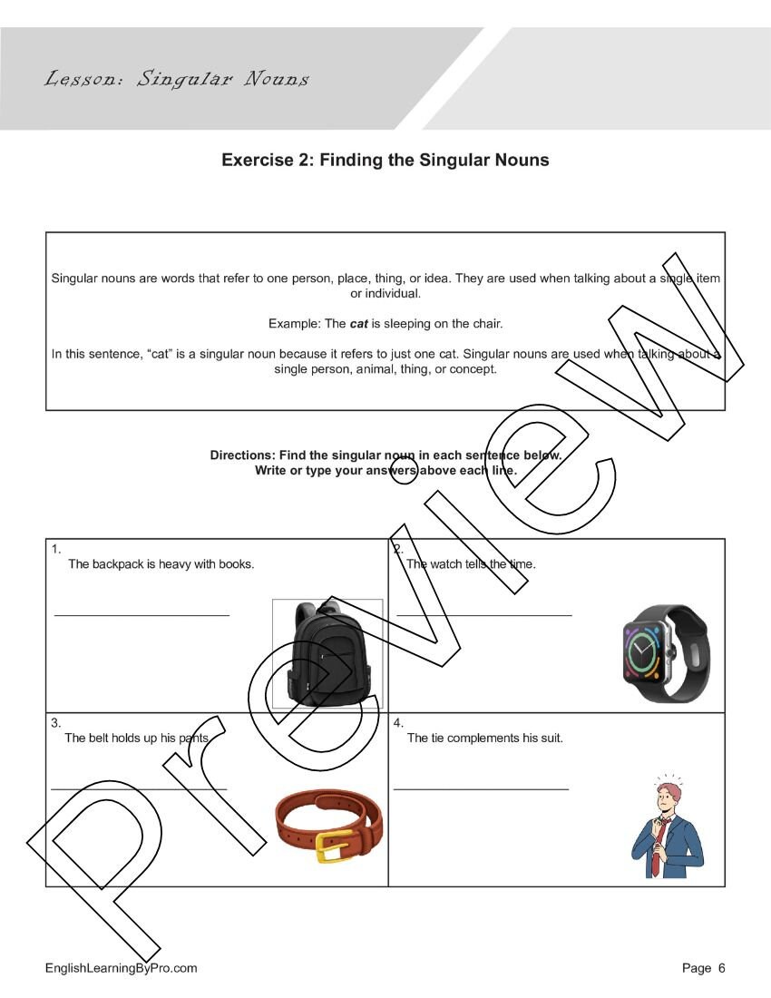 Singular Nouns Lesson: Introduction + 4 Worksheets (editable, Fillable ...