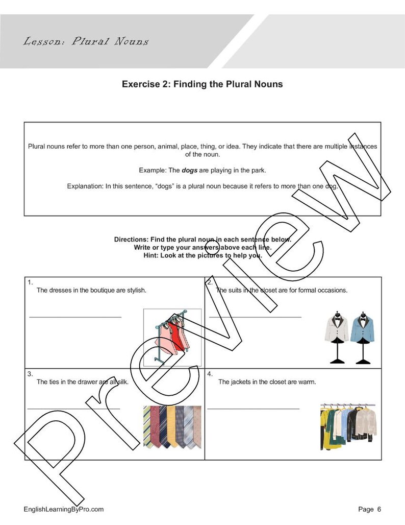 Plural Nouns Lesson: Introduction + 4 Worksheets (editable, Fillable ...
