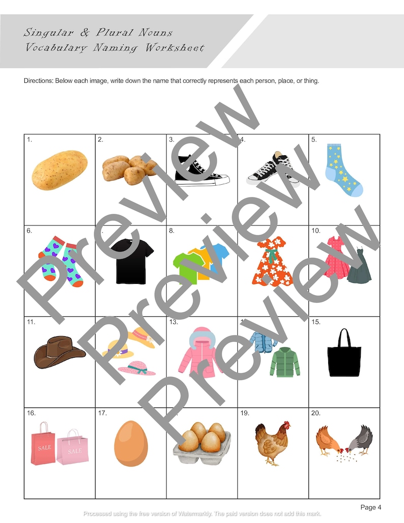 Singular and Plural Nouns Vocabulary Naming Worksheet for English ...