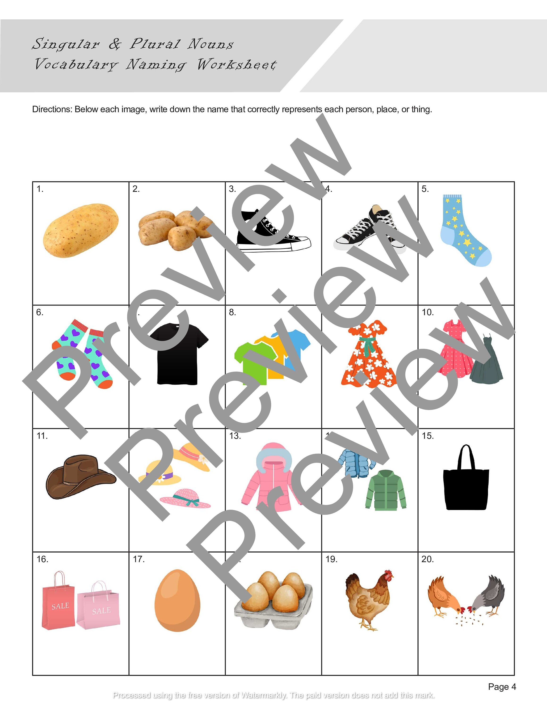 Singular and Plural Nouns Vocabulary Naming Worksheet for English ...