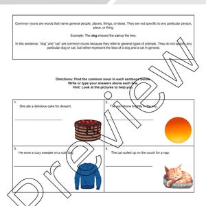 Common Nouns Worksheets Bundle for English Learners and English ...