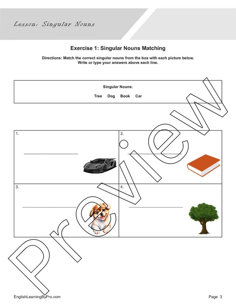 Singular Nouns Lesson: Introduction + 4 Worksheets (editable, Fillable ...