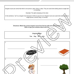 Singular Nouns Worksheets Bundle for English Learners and English ...