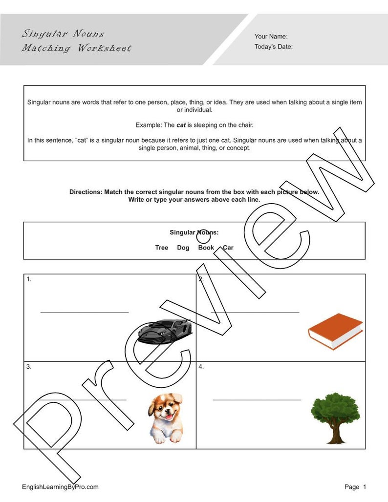 Singular Nouns Worksheets Bundle for English Learners and English ...