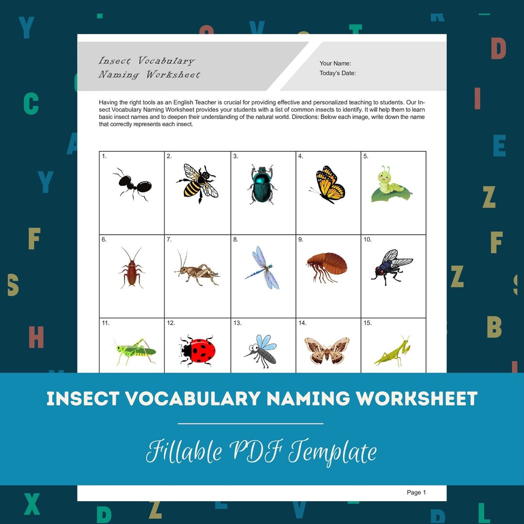 Insect Vocabulary Naming Worksheet for English Learners and English ...