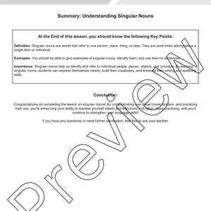 Singular Nouns Lesson: Introduction + 4 Worksheets (editable, Fillable ...
