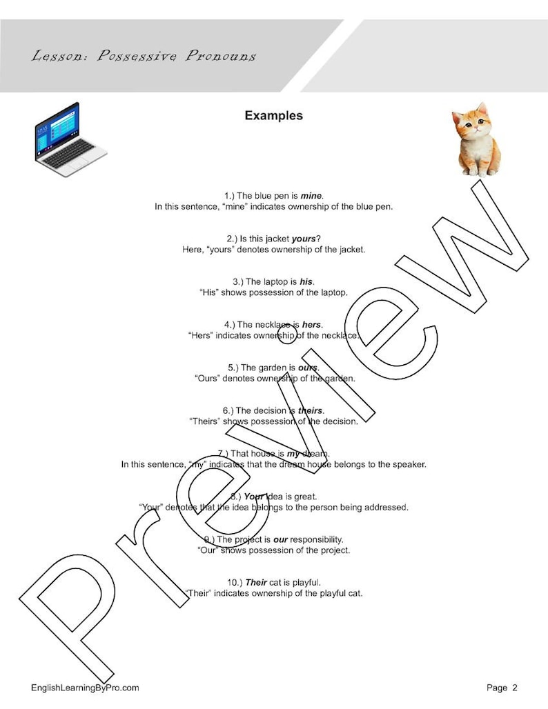 Possessive Pronouns Lesson: Introduction + 3 Worksheets (editable ...