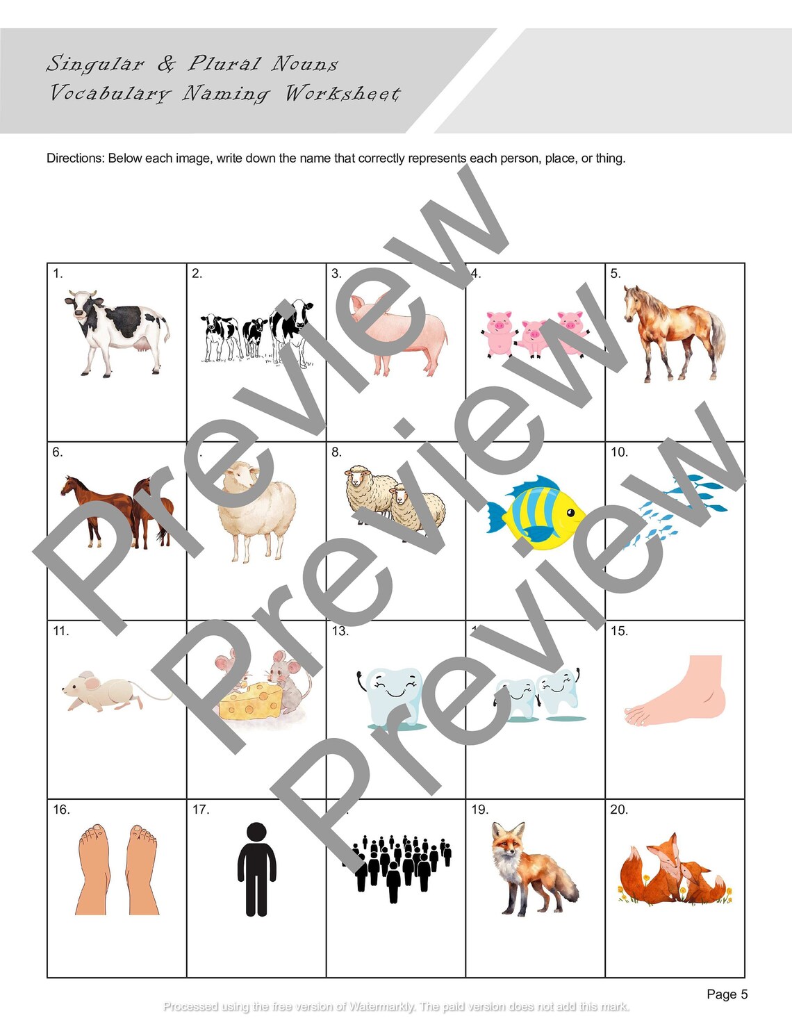 Singular and Plural Nouns Vocabulary Naming Worksheet for English ...