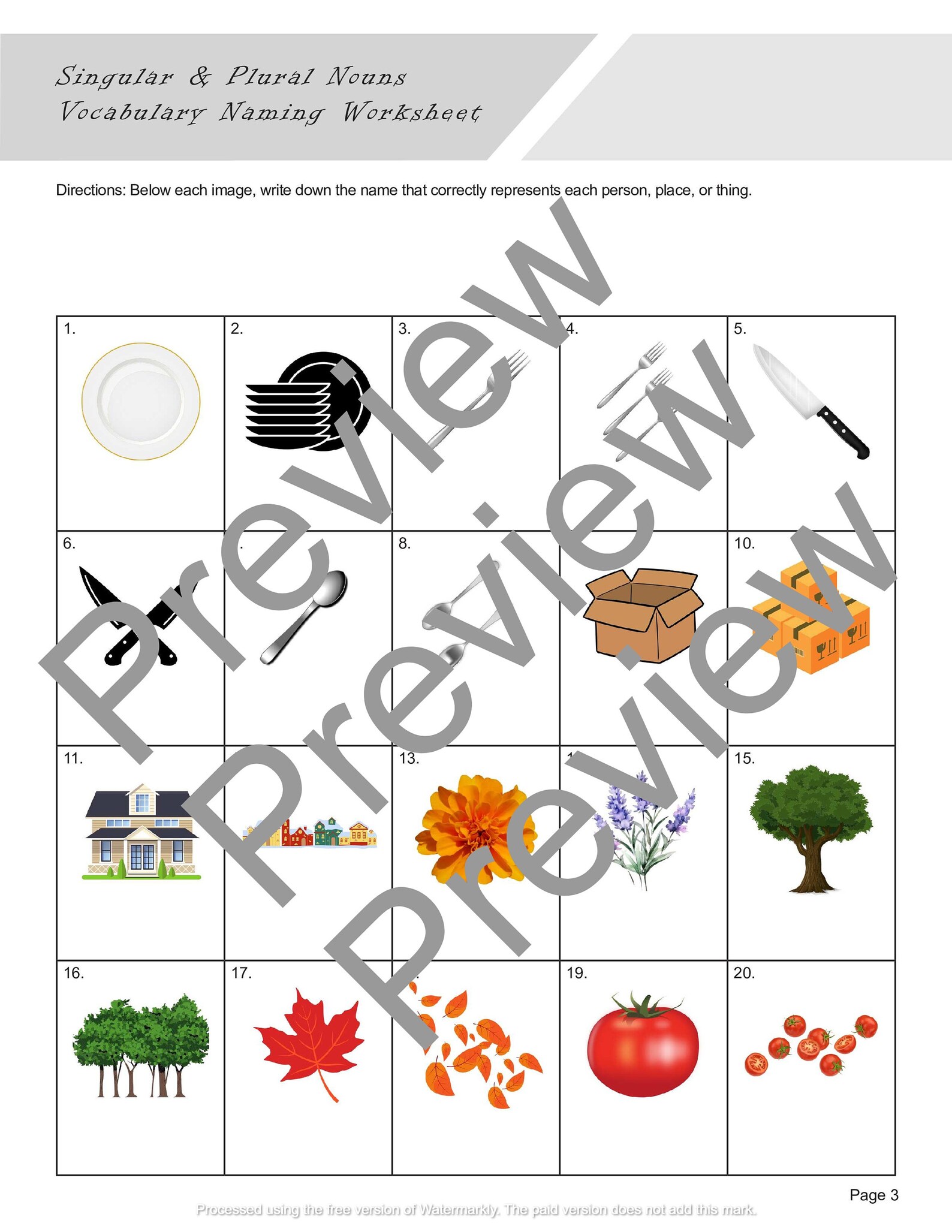 Singular and Plural Nouns Vocabulary Naming Worksheet for English ...