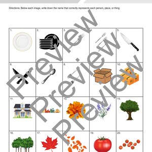 Singular and Plural Nouns Vocabulary Naming Worksheet for English ...