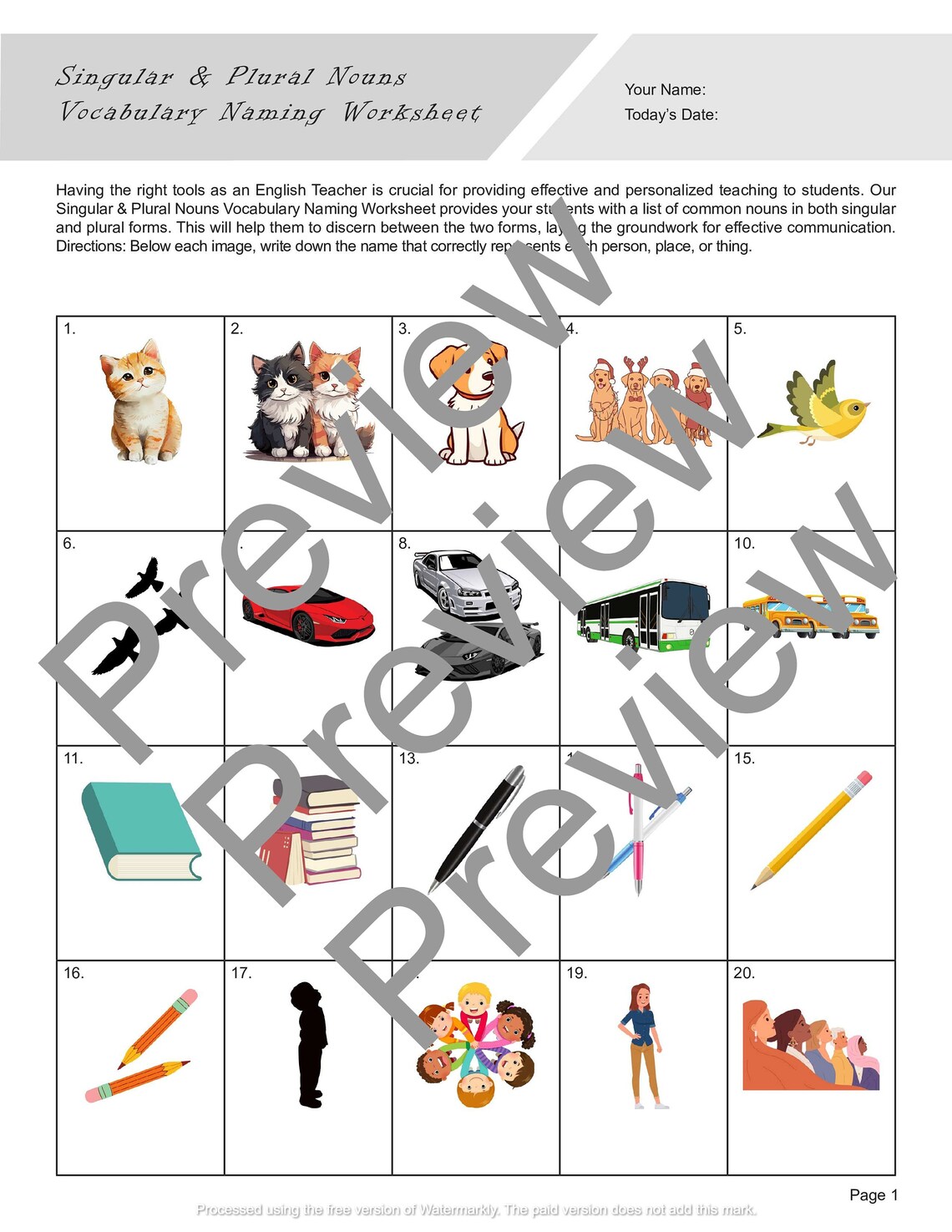 Singular and Plural Nouns Vocabulary Naming Worksheet for English ...
