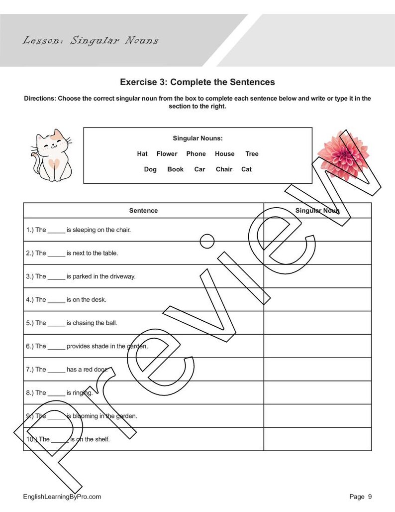 Singular Nouns Lesson: Introduction + 4 Worksheets (editable, Fillable ...