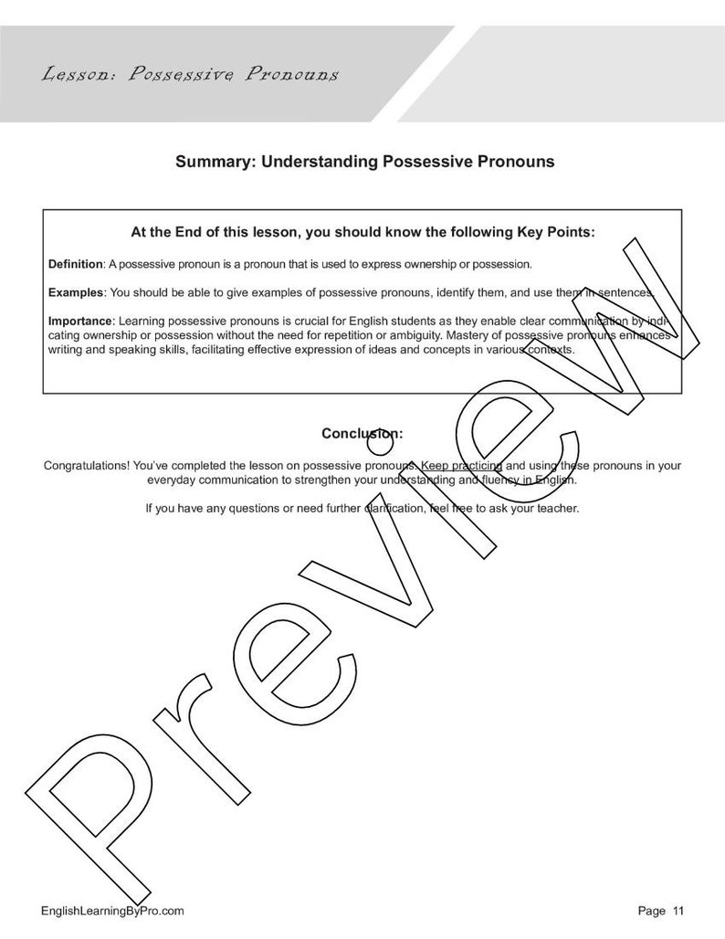 Possessive Pronouns Lesson: Introduction + 3 Worksheets (editable ...