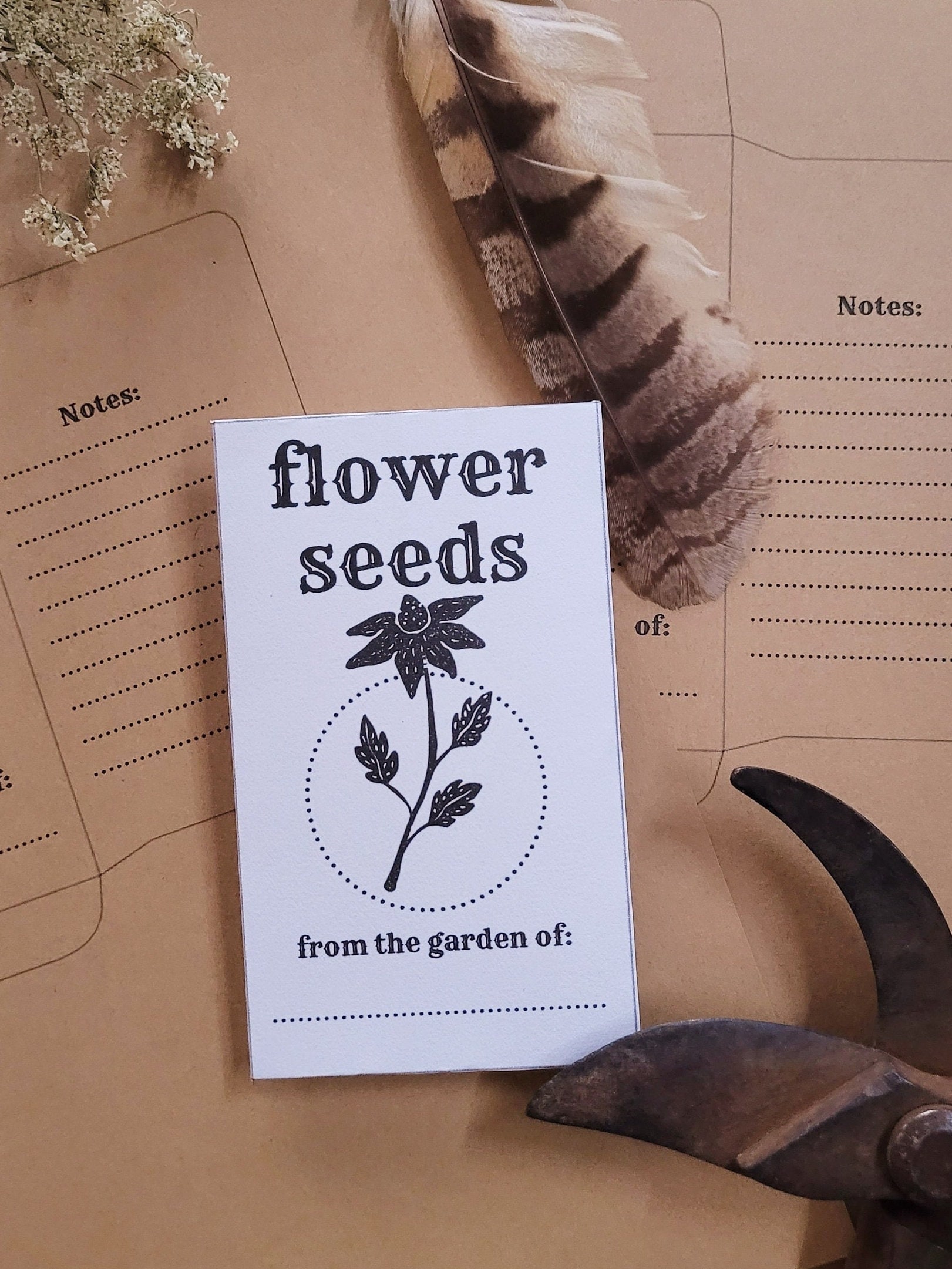 Printable Seed Packet Template Envelope Flower 2.875"x4.875" - Etsy