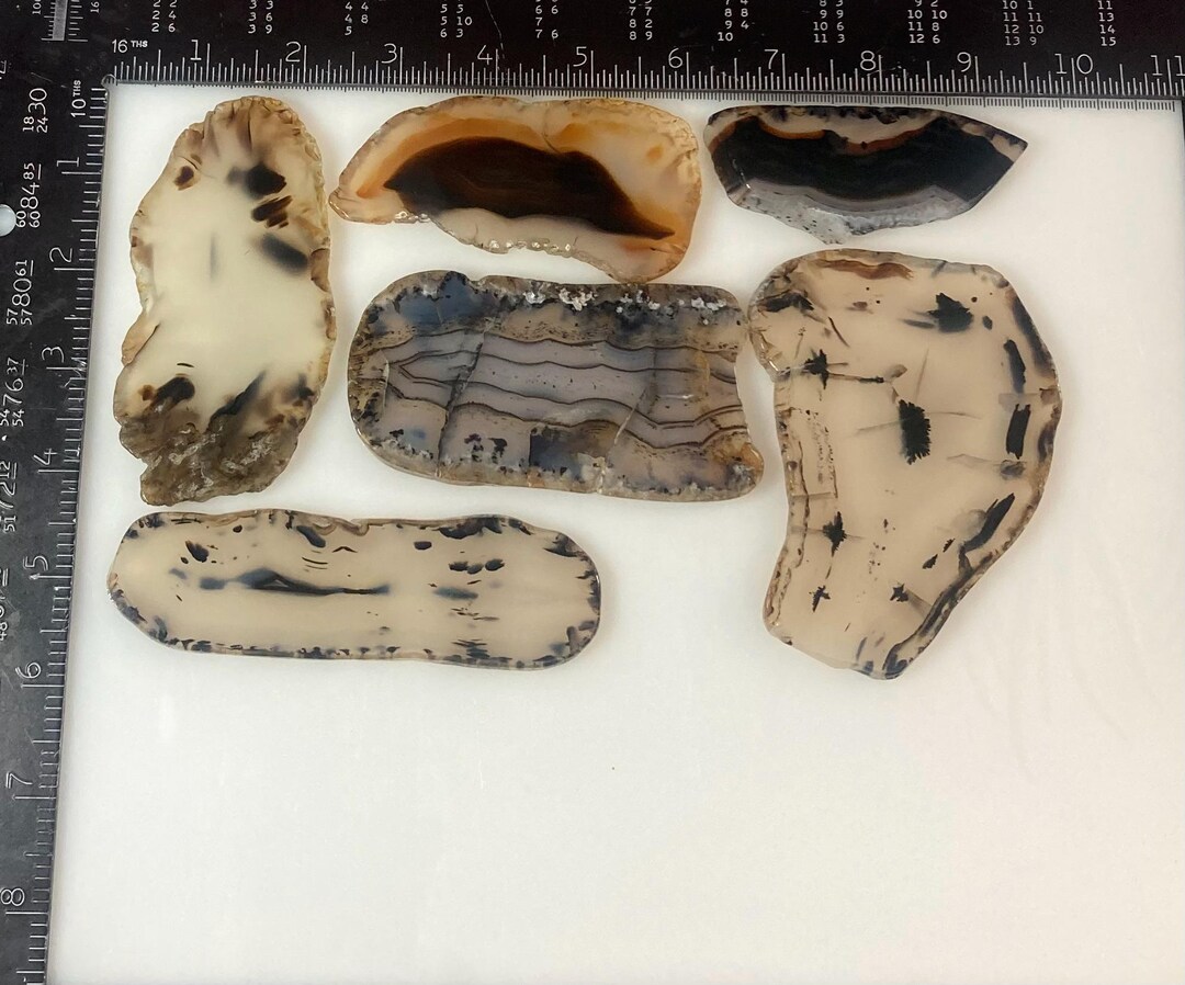 Montana Yellowstone River Agate Slabs Tumble Polished - Etsy