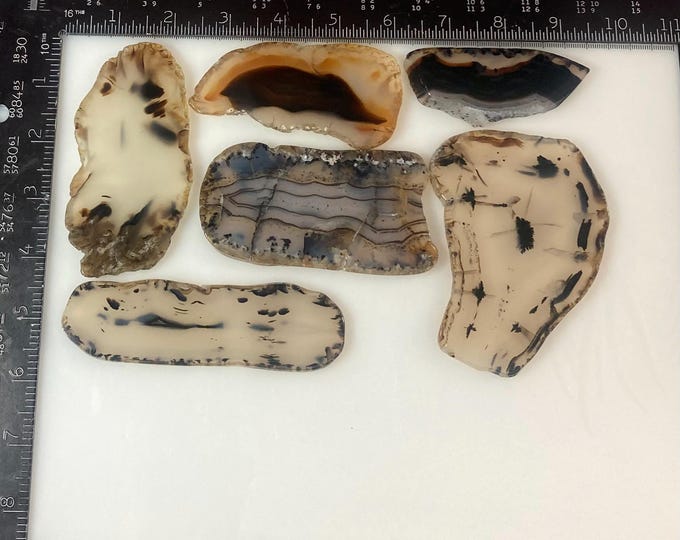 Large Montana Yellowstone River Agate, Natural, Rough - Etsy