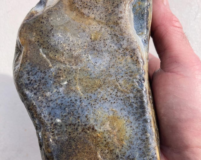 Large Montana Waterline Agate From the Yellowstone River…natural-rough ...