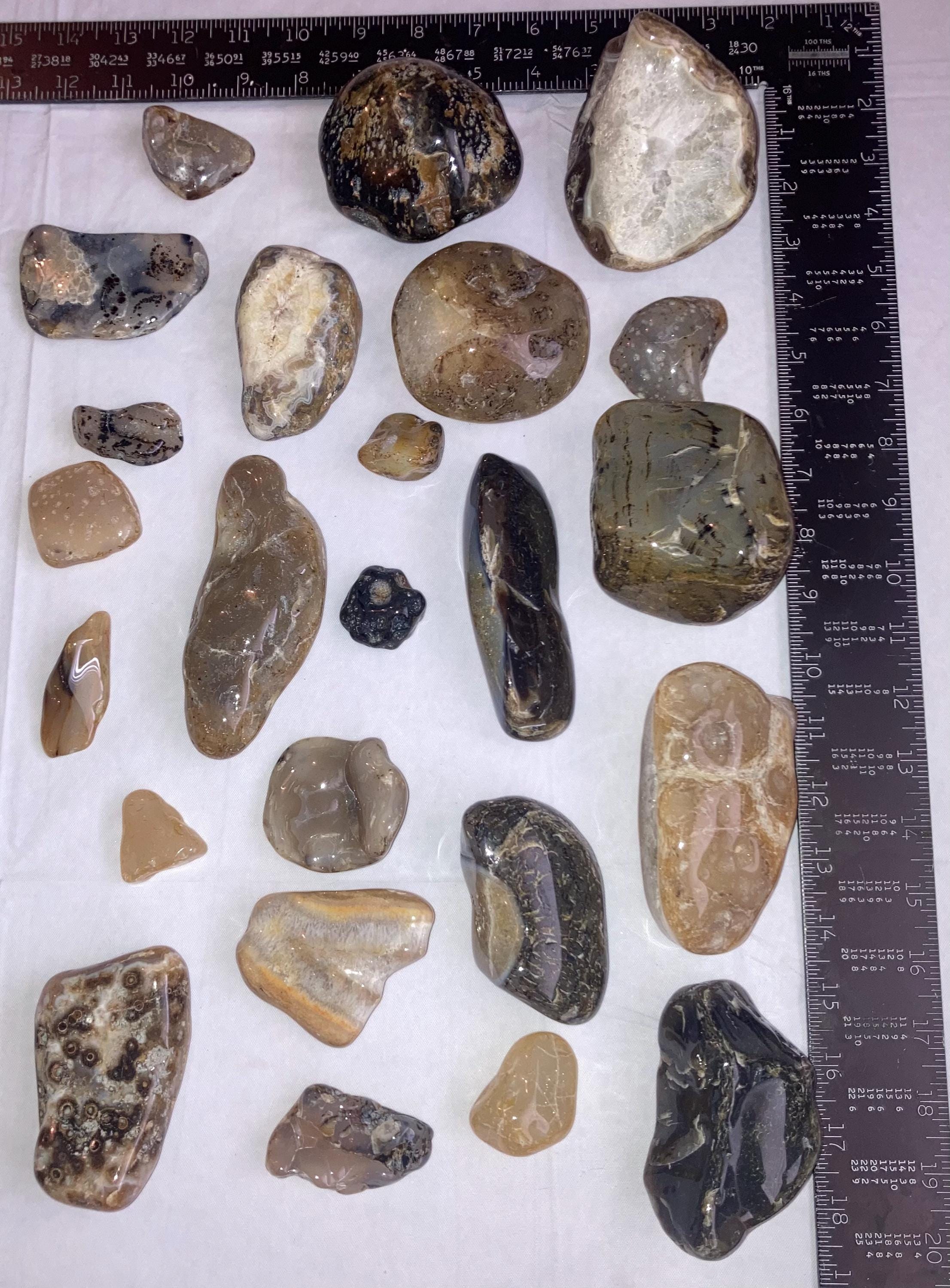 Montana Agates Tumbled Polished From the Yellowstone River 10 Lbs - Etsy