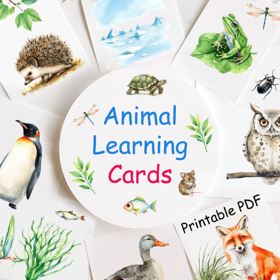 Watercolor Animal Learning Cards | Flashcards + Food + Habitat ...