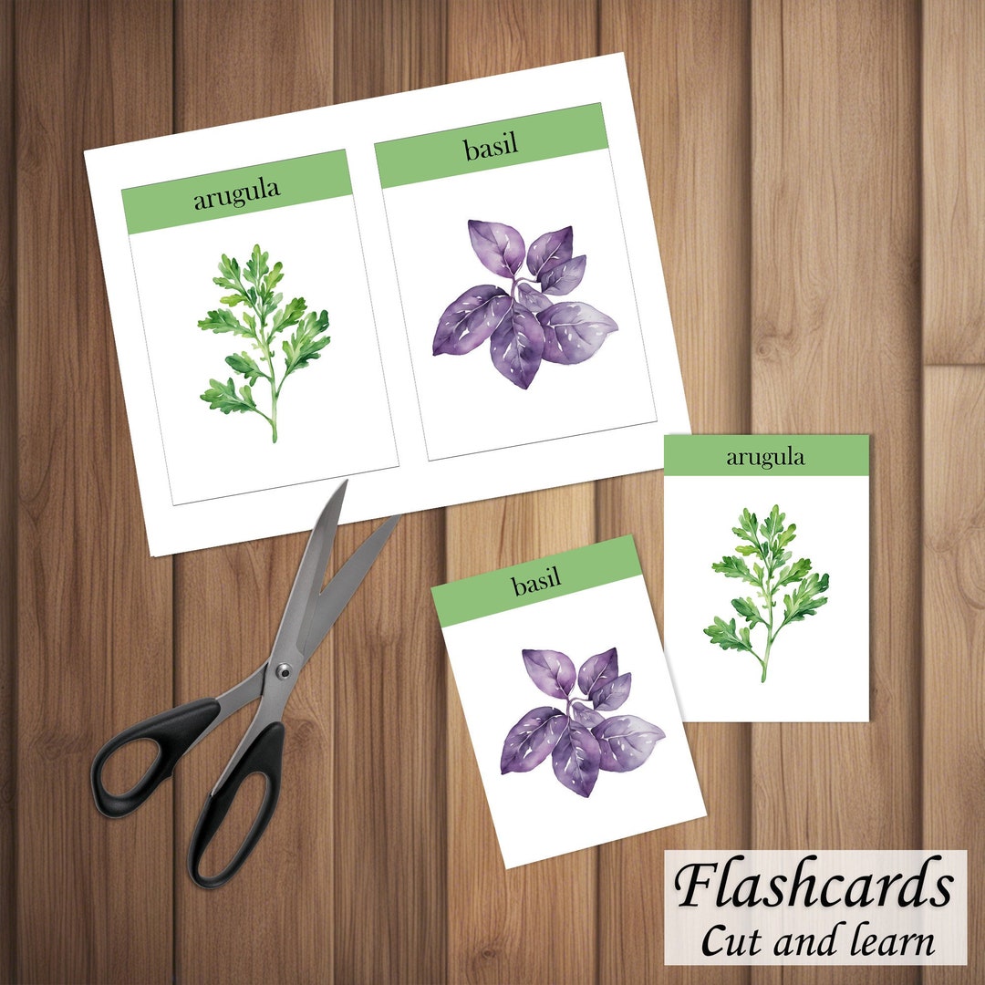 HERBS and PLANTS Flashcards, 18 Learning Flashcards, Digital Flashcards ...