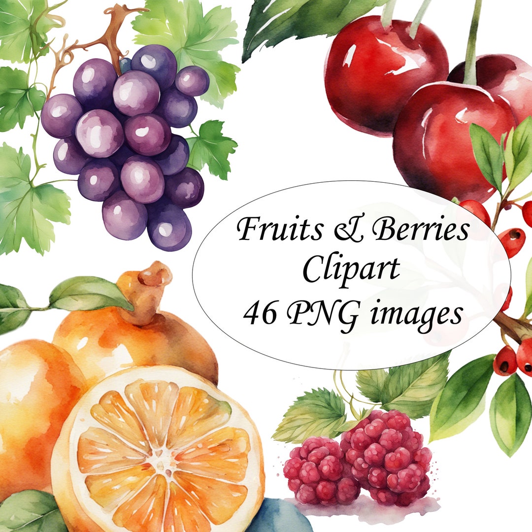 Watercolor Fruits and Berries 46 PNG Clipart Digital Images Transparent ...