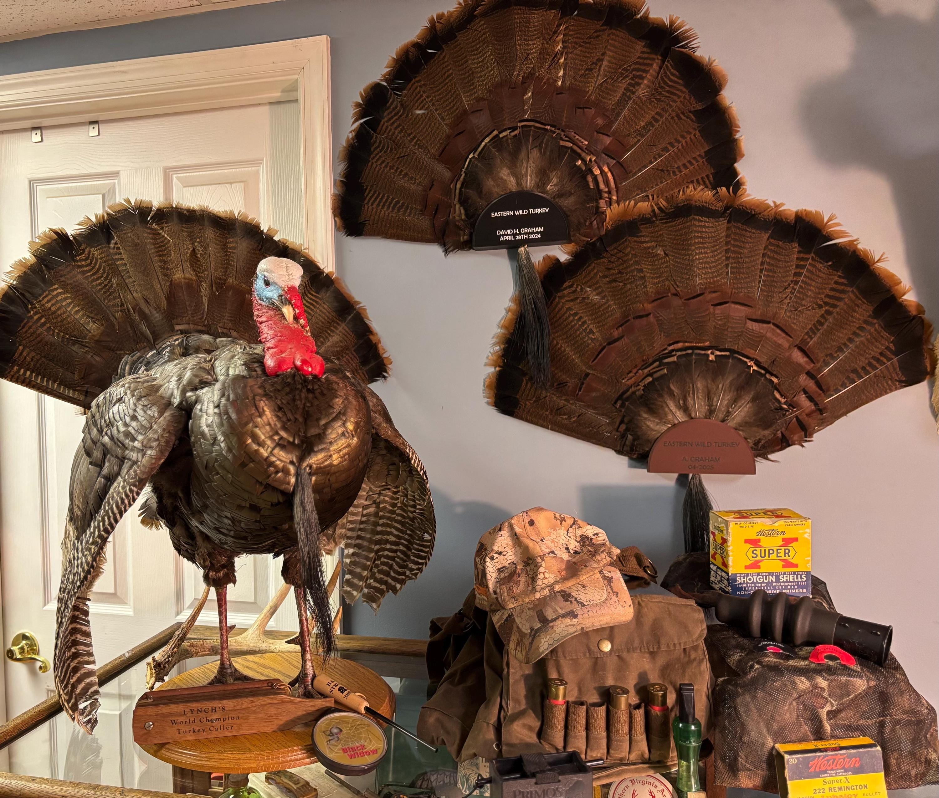 Turkey Fan, Beard, Spurs and Shotshell Hull Mount - Etsy