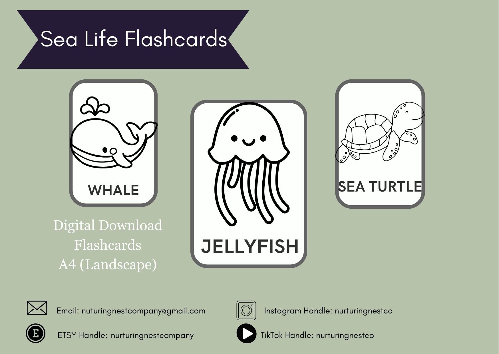 Printable Sea Life Coloring Flashcards - Etsy