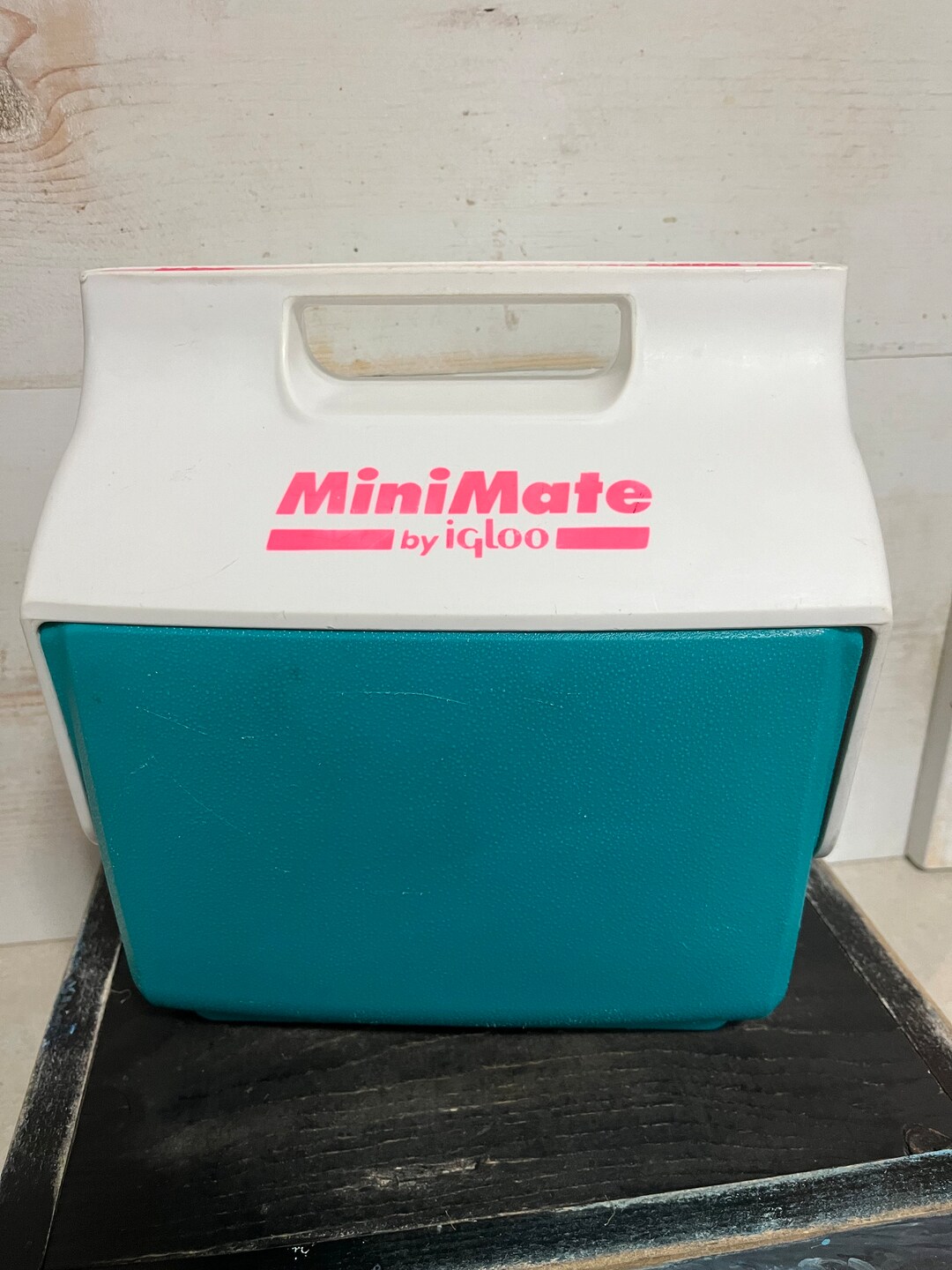 Vintage 1990s Mini Mate by Igloo Personal Cooler Teal Hot Pink Ice ...
