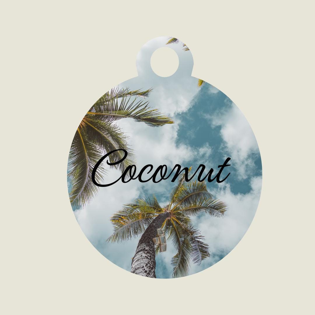 Pet ID Tag | Dog Tag | Cute Cat Dag | Printed Dog Tag | Personalised ...