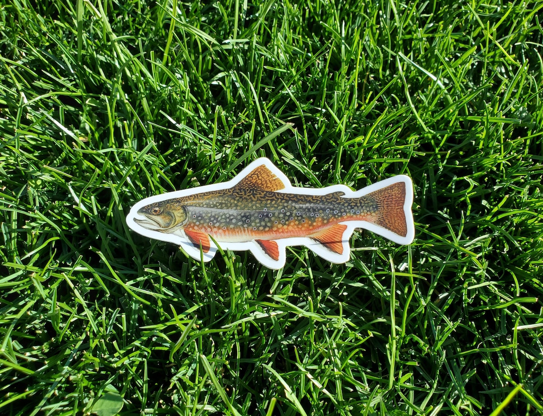 Brook Trout Sticker | Trout Fish | North American Fish | Fishing Gifts ...