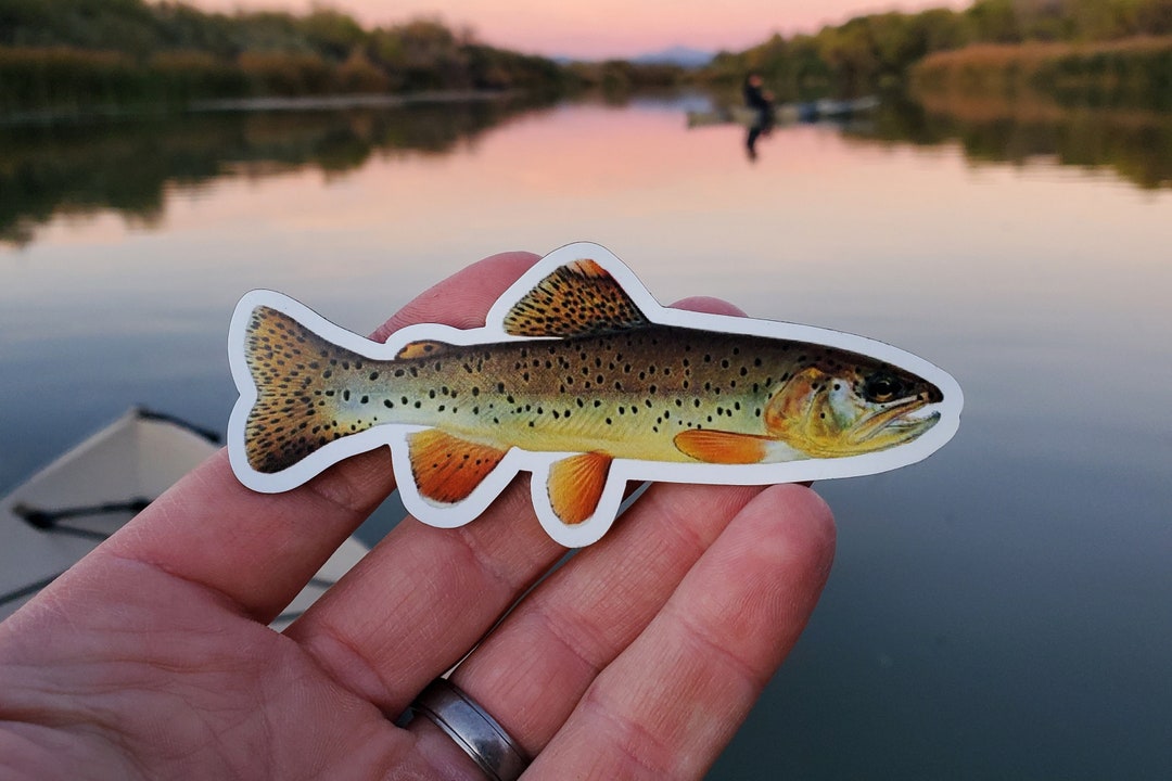 Apache Trout Magnet | Arizona Fish | North American Fish | Fishing ...