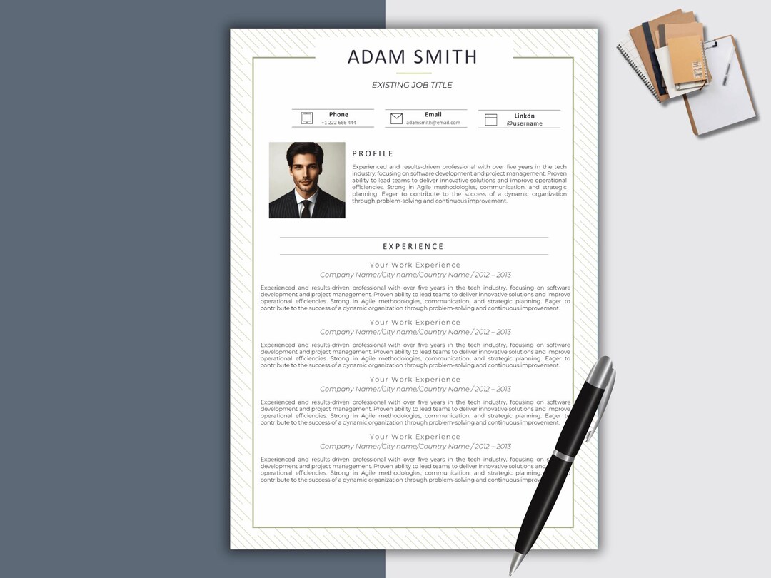 Modelo de currículo ATS, modelo de currículo profissional compatível ...