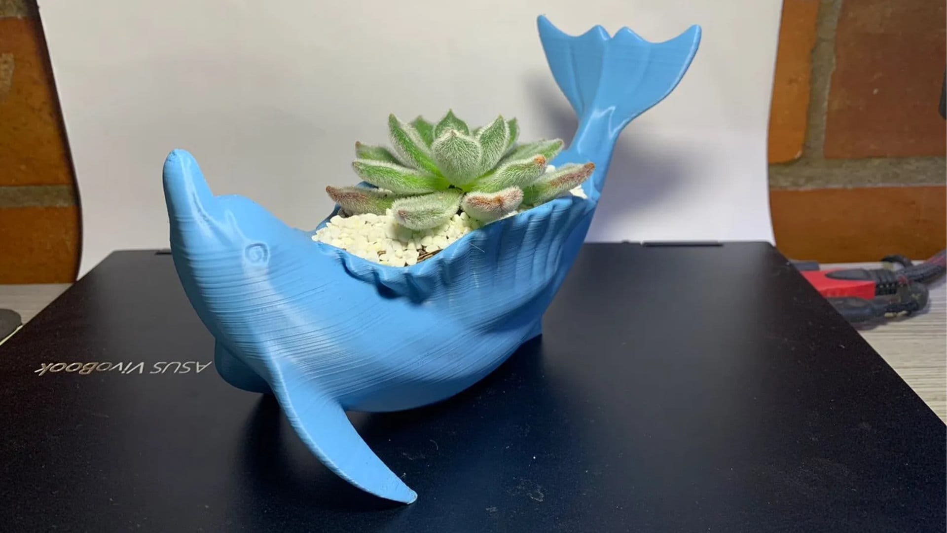 Dolphin-shaped Planter - Whimsical and Functional Marine-inspired Decor ...