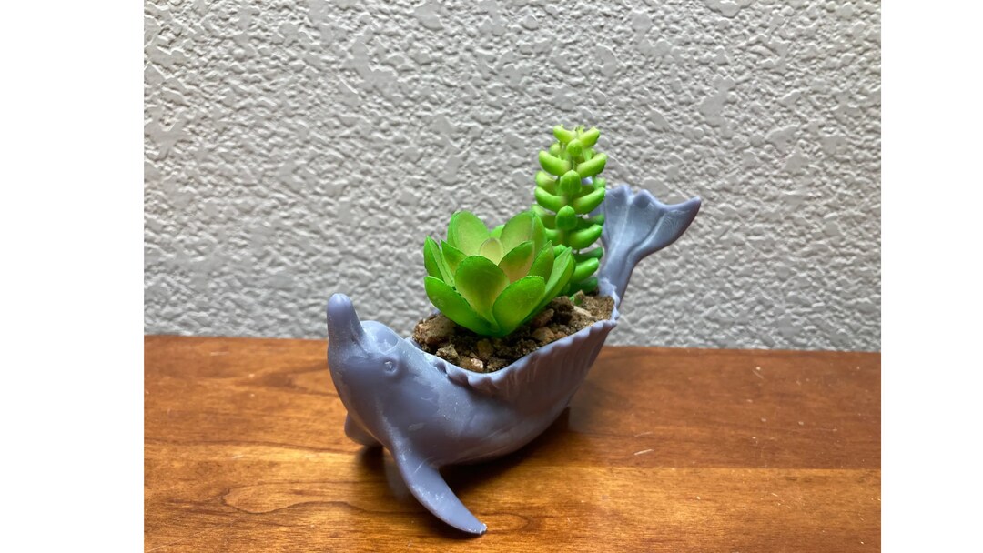 Dolphin-shaped Planter - Whimsical and Functional Marine-inspired Decor ...