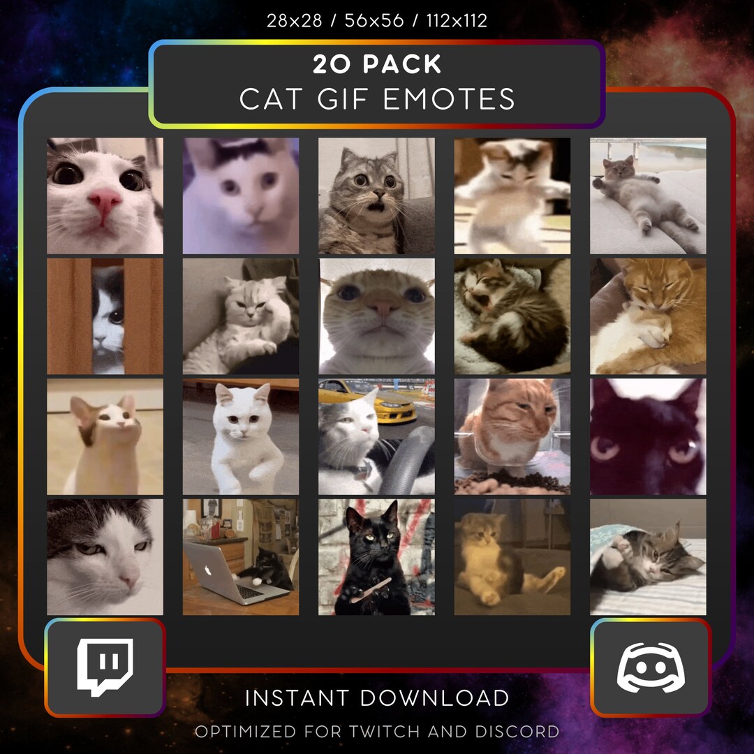 Cat Meme Animated 20 Pack 1, Bundle. Emote, Twitch, Discord, Stream ...