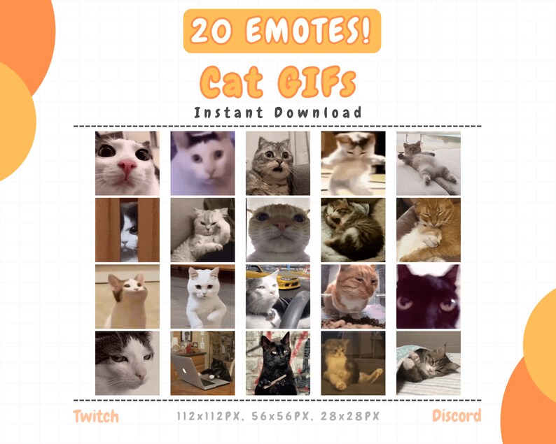Cat Meme Animated 20 Pack 1, Bundle. Emote, Twitch, Discord, Stream ...