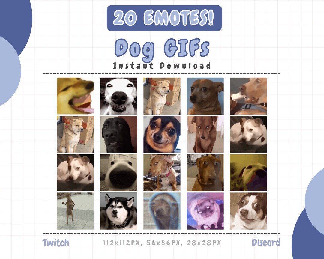 Dog Meme Animated 20 Pack 1, Bundle. Emote, Twitch, Discord, Stream ...