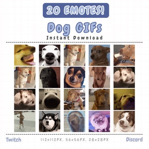 Dog Meme Animated 20 Pack 1, Bundle. Emote, Twitch, Discord, Stream ...
