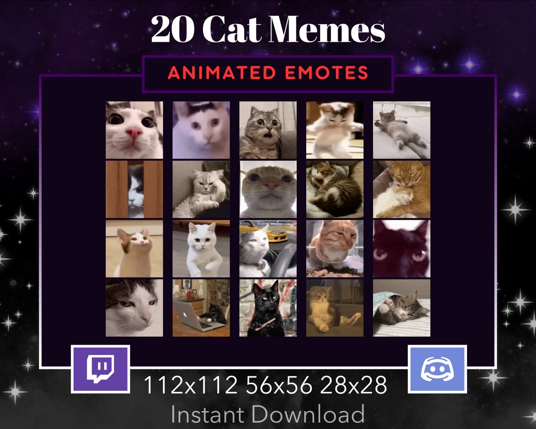 Cat Meme Animated 20 Pack 1, Bundle. Emote, Twitch, Discord, Stream ...
