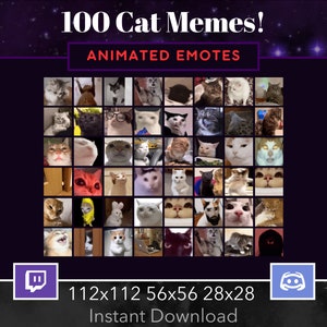 Cat Meme Animated 100 Pack, Bundle. Emote, Twitch, Discord, Stream ...