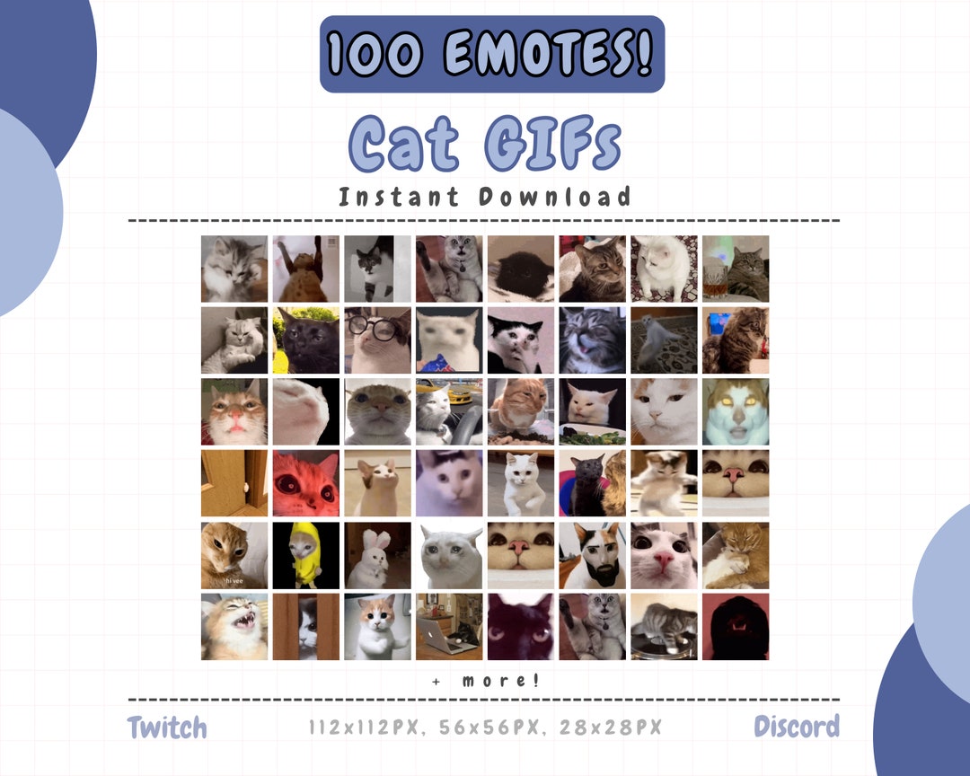 Cat Meme Animated 100 Pack, Bundle. Emote, Twitch, Discord, Stream ...