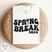 Spring Break 2024 - Spring Break - Retro Style - SVG PNG Cutting ...