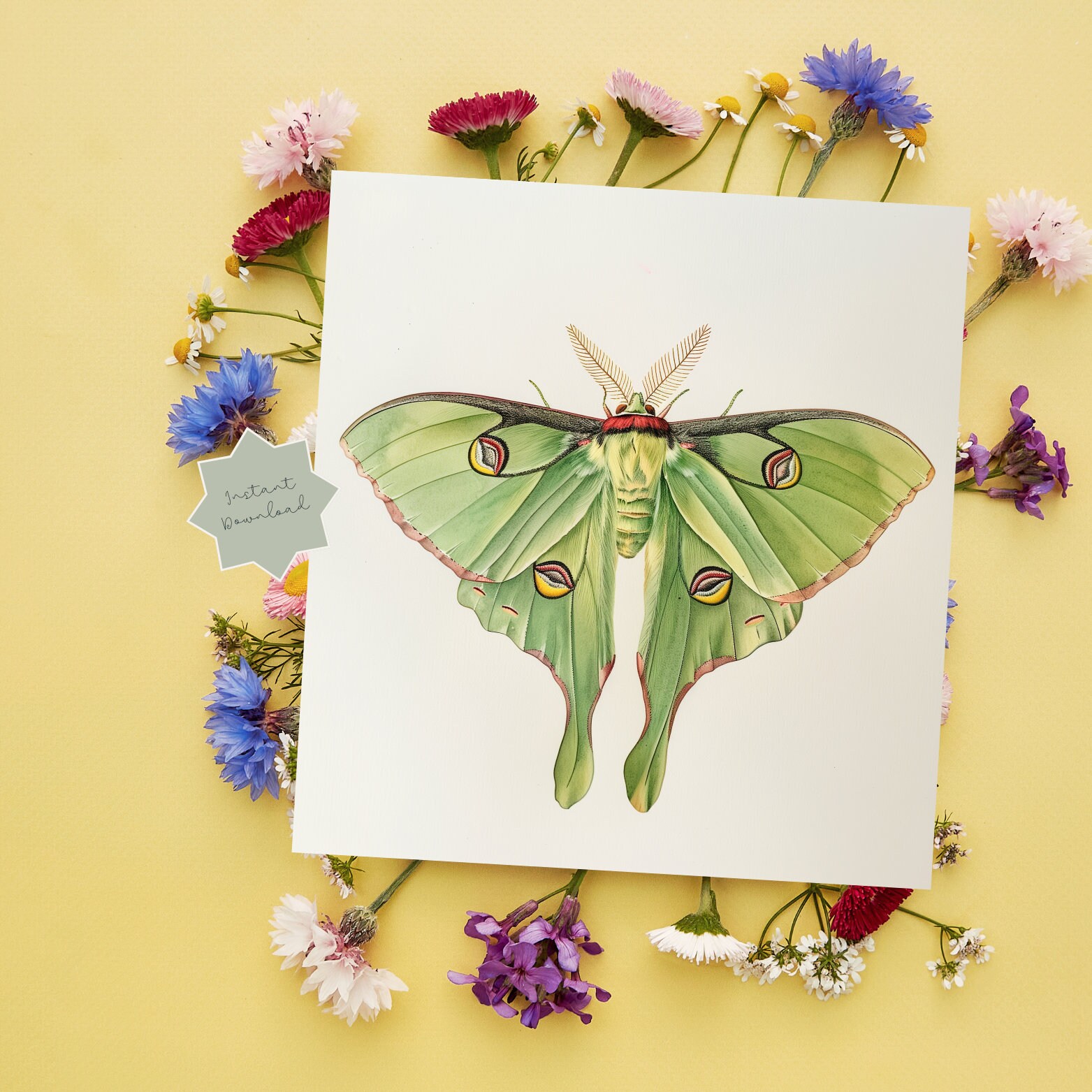 Luna Moth Watercolor Print PRINTABLE ART Entomology Print Witchy Gifts ...